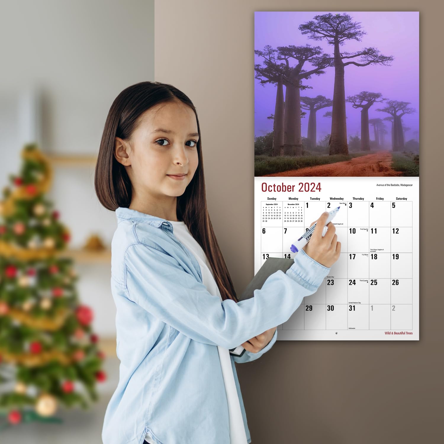 MICASA Wild & Beautiful Trees Hangable Monthly 2024 Wall Calendar | 12" x 24" Open | Thick & Sturdy Paper | Giftable | Scenic Nature Pathways | Beautiful Trees around the World