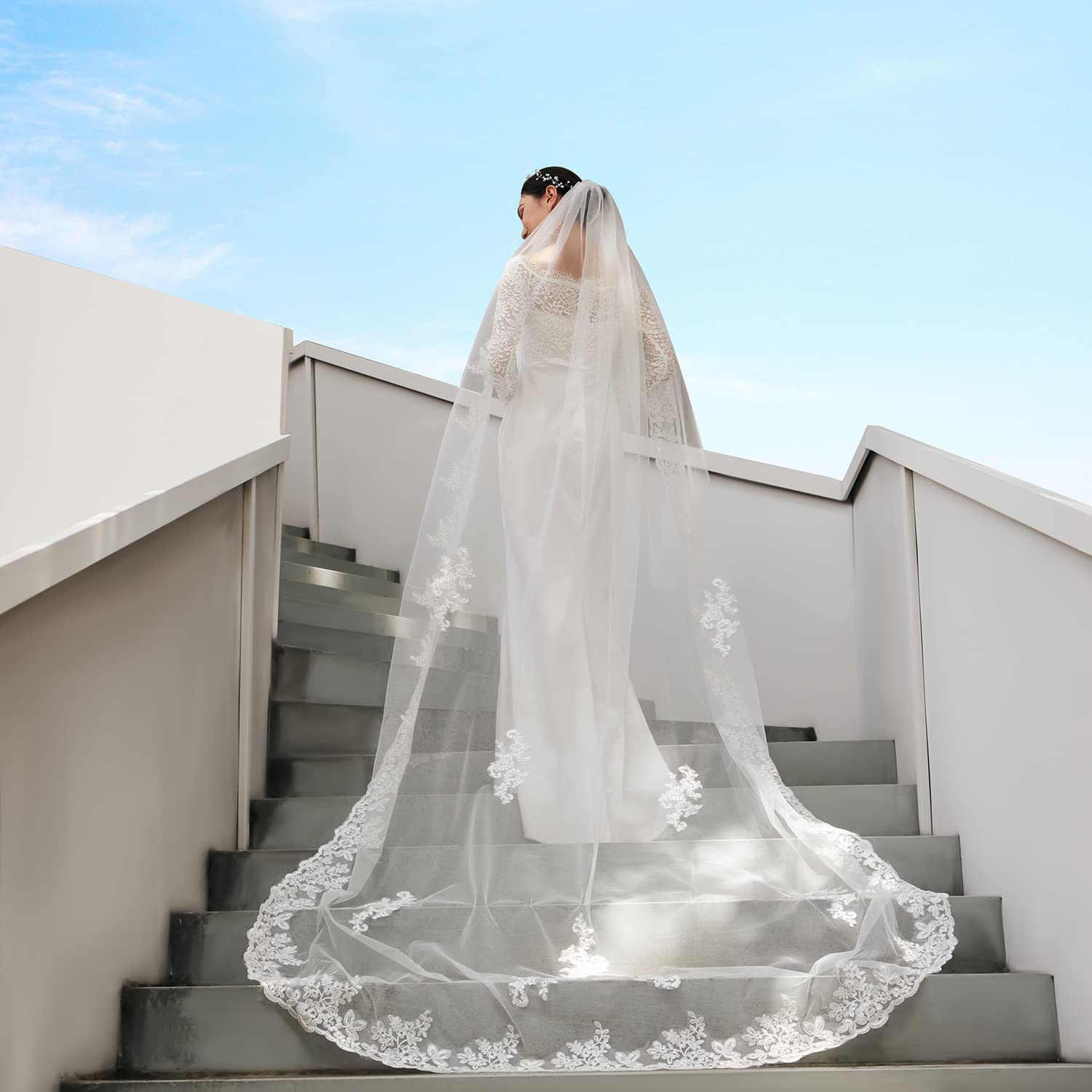 SYZ-inems Wedding Veil and Tiara, Veils for Brides, 1 Tier Lace Cathedral Wedding Veil with Comb (59" W-118 L,White)