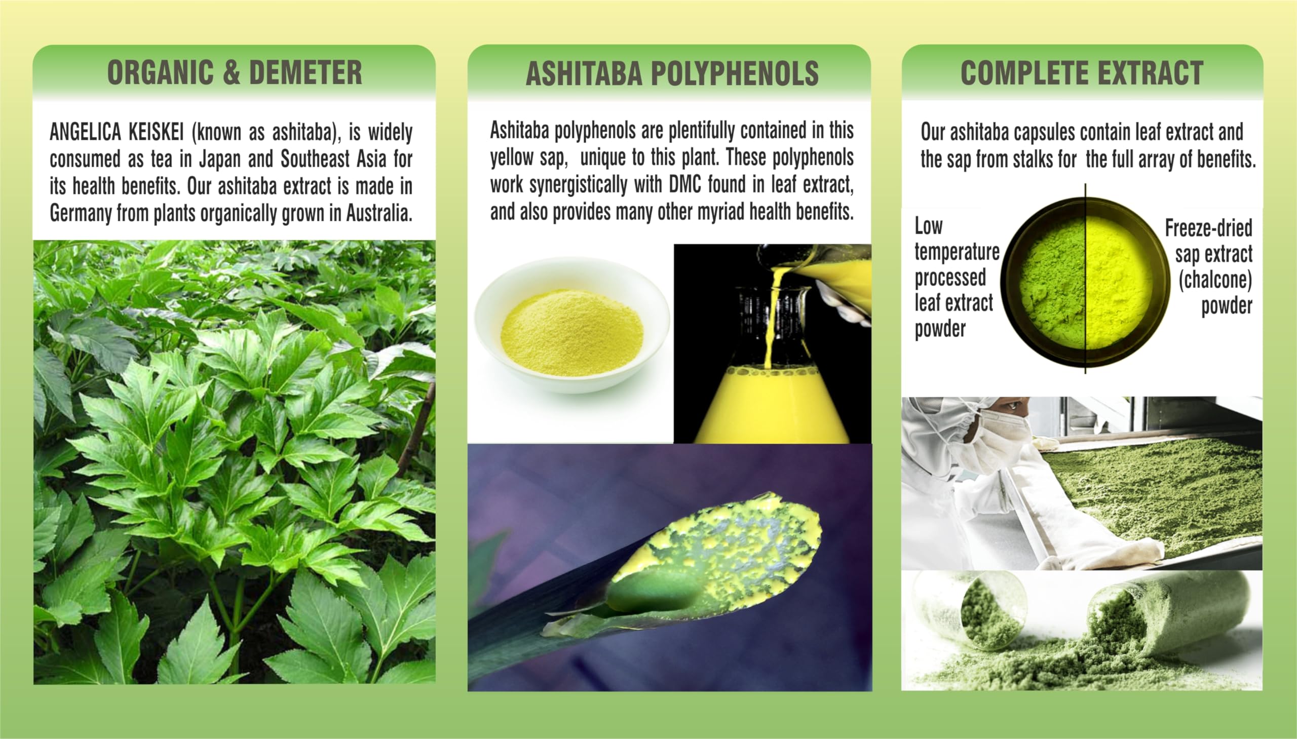 Organic Ashiataba, Complete, Low Temperature Raw Extract (60 Count)