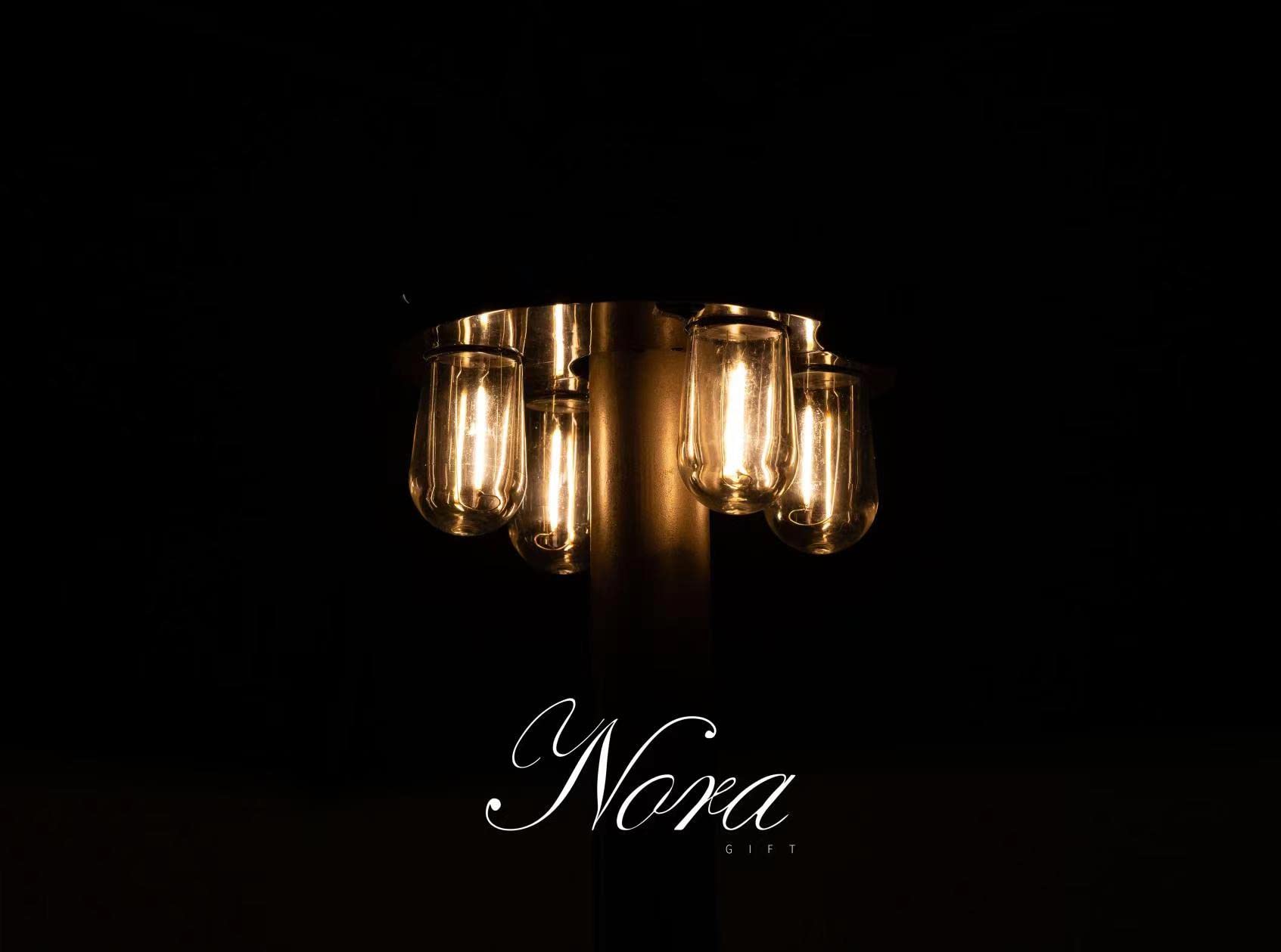 Nora·Gift Patio Umbrella Light with LED Edison Bulbs, Battery Operation Cordless-Outdoor Umbrella Pole Lights with 2 Lighting Modes for Garden,Patio, Backyard, Camping or BBQ - Brown(1 Pack)