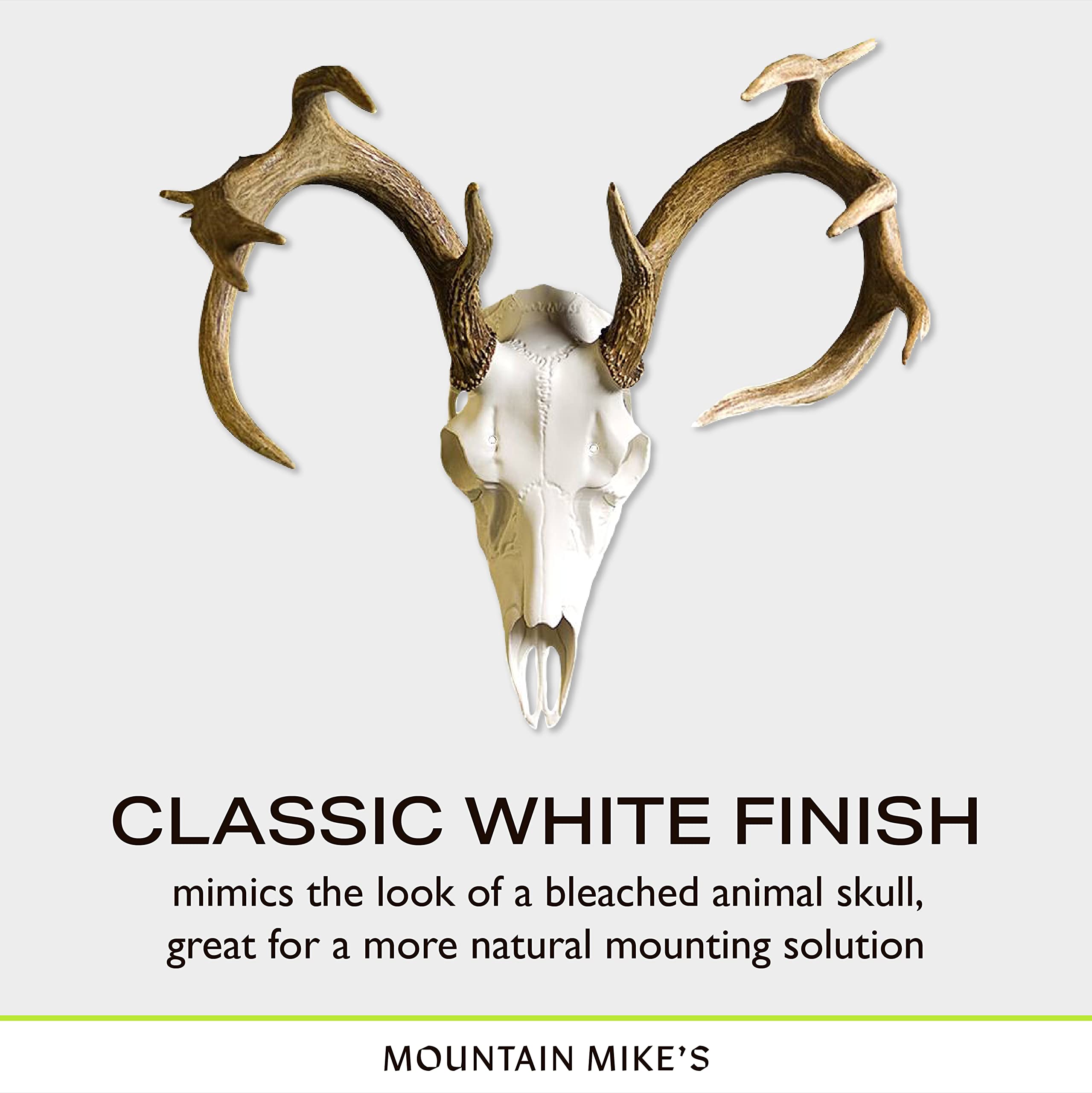 Mountain Mike’s Skull Master - European-Style Mount Kit for Antlers - for Antlers Larger Than 4 ⅞” Diameter - Compatible with Harvested and Shed Antlers - White (Large)…