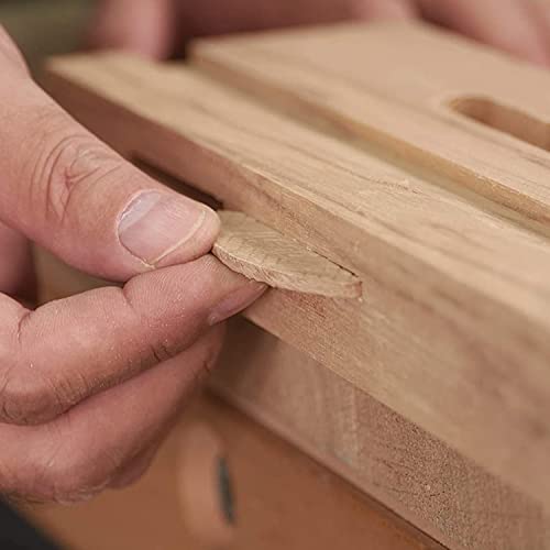Trend 100pcs Beechwood Joining Biscuits Variety Pack (No. 0, 10, 20) for Woodworking, Joinery, and Furniture Framing, BSC/MIX/100