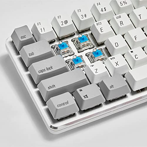 Qisan Mechanical Keyboard Gaming Keyboard Gateron Blue Switch Wired/Wireless Bluetooth Keyboard 68-Keys Mini Design(60%) PBT Keycap White/Gray Color for Gaming/Office Magicforce