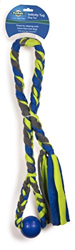 PetSafe Infini-Tug Dog Toy