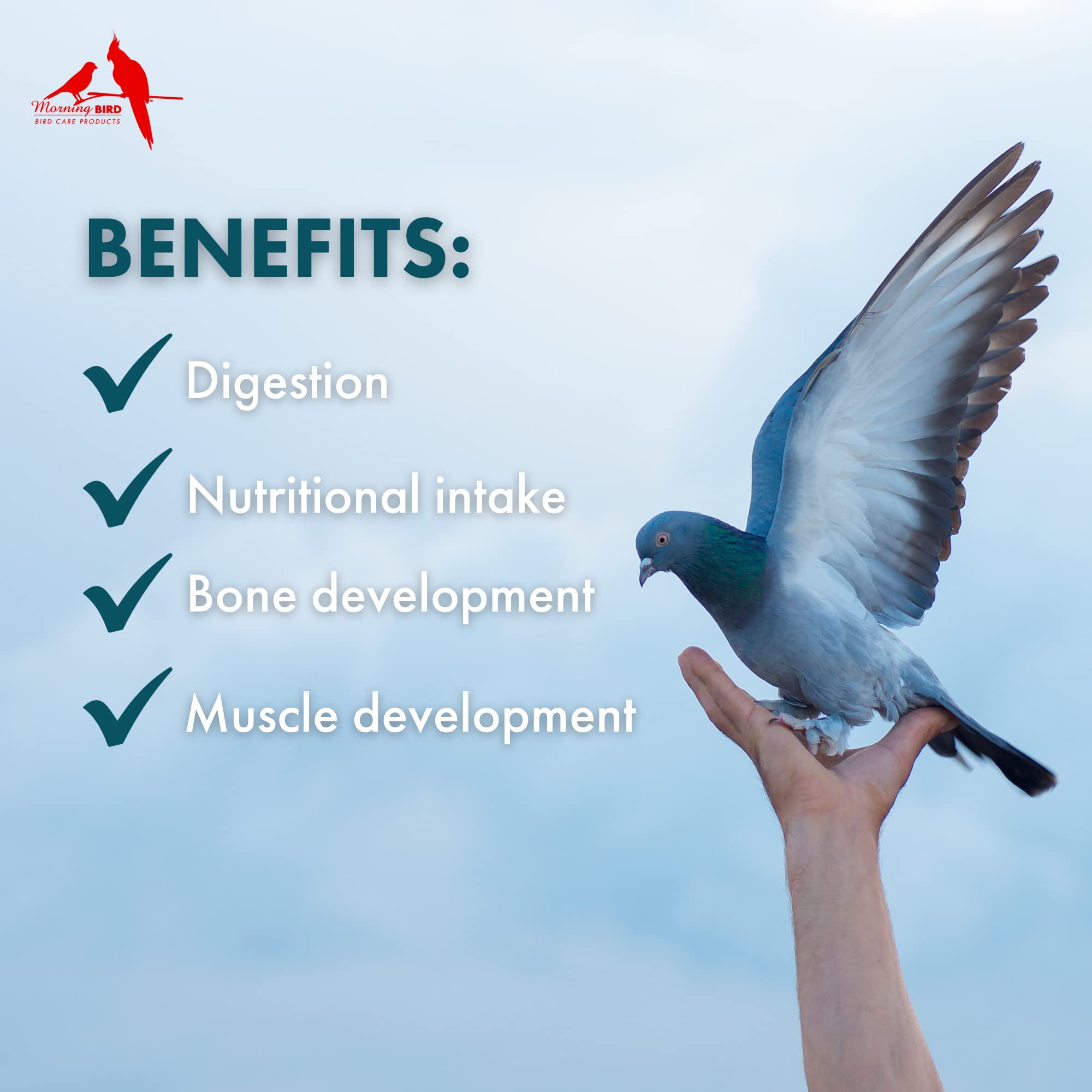 Morning Bird Pigeon Grit, Healthy Bird Seed with High Mineral Content