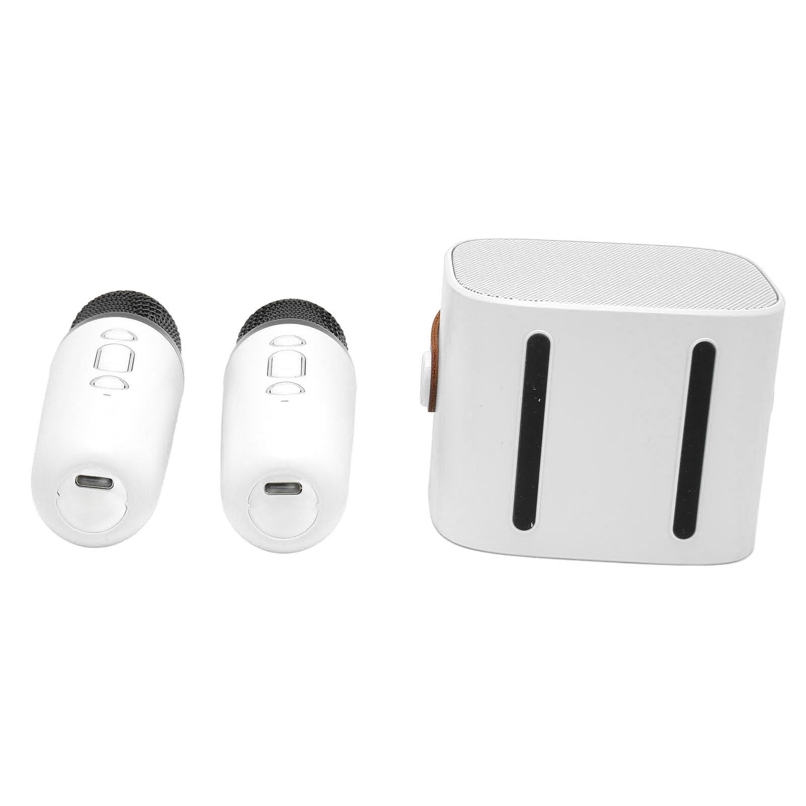 Portable Karaoke Machine, Reverb Sound Function Voice Changing Effects Portable Speaker Multifunction for Party for KTV (#1)