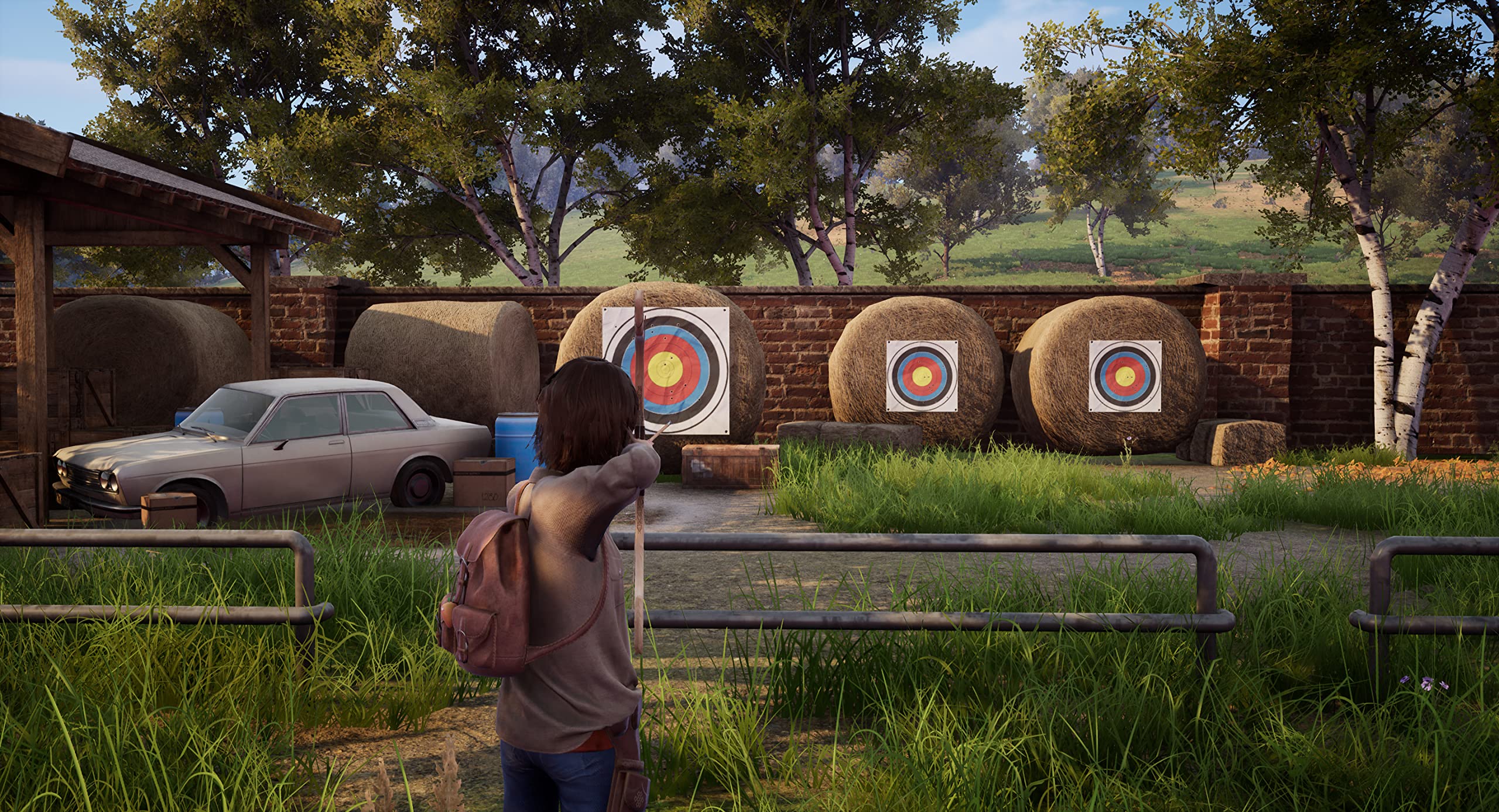Windstorm: An Unexpected Arrival (PS4)