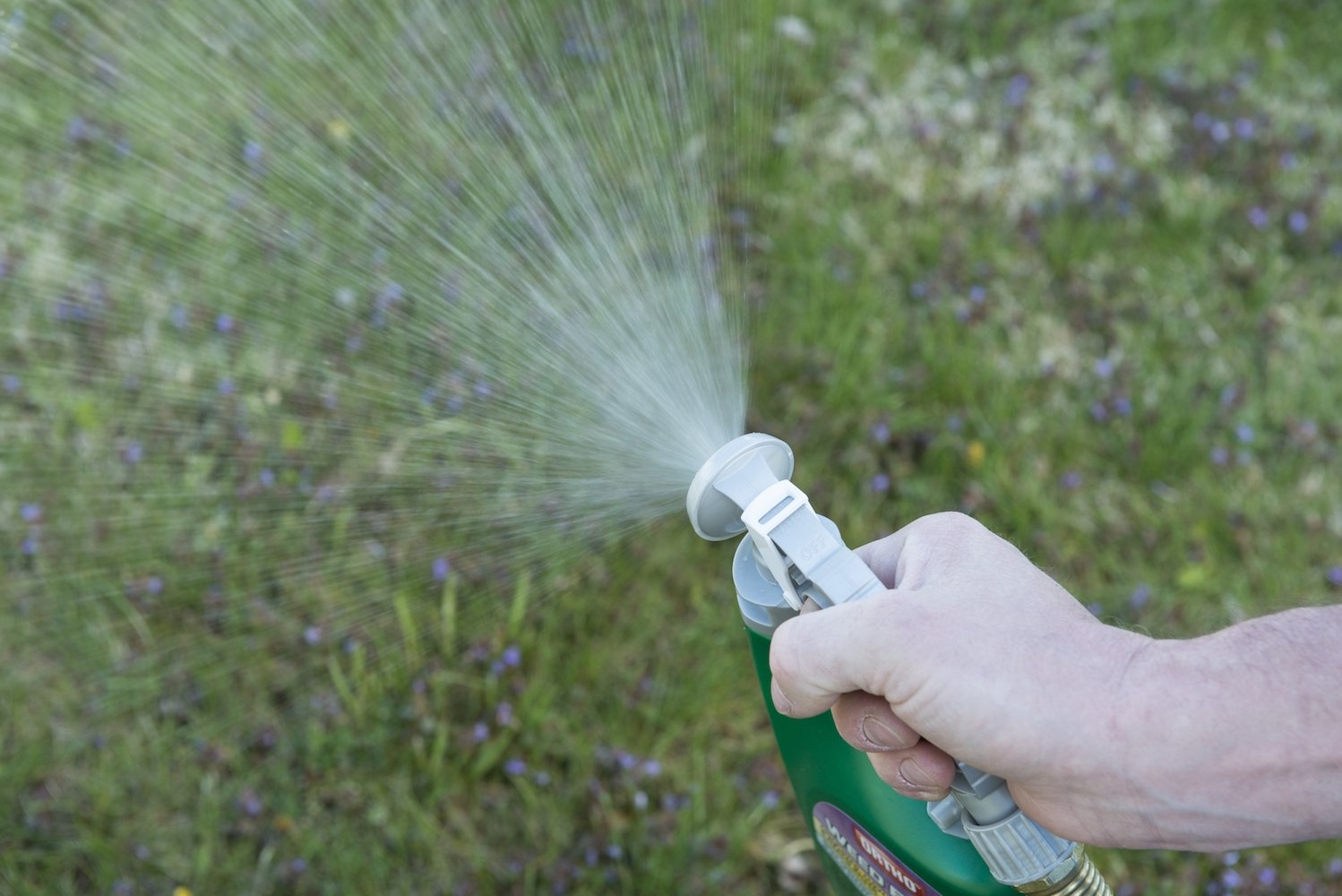 Ortho Weed B Gon Chickweed, Clover & Oxalis Killer for Lawns, 32 Oz.