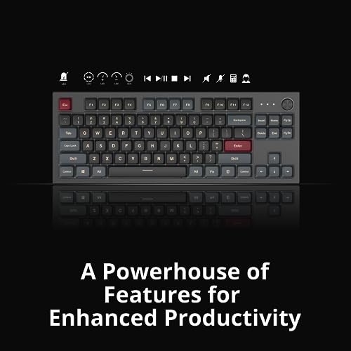 Montech MKey TKL Mechanical Gaming Keyboard: Customizable RGB LED, Premium MDA Profile PBT Keycap, Hot-Swappable Gateron G Yellow Pro 2.0 Pre-lubed Switches, Osaka Castle Theme, Darkness (MK87DY)