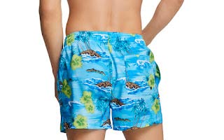 Speedo Men's Swim Trunk Short Length Redondo Printed, Blue Lemonade, Large