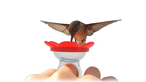 ZUMMR Hummingbird Ring Feeder (Red) - Hand Feed Hummingbirds Right in Your Backyard. Get up Close and Personal with Nature. Proudly Made in The U.S.A. - The Original