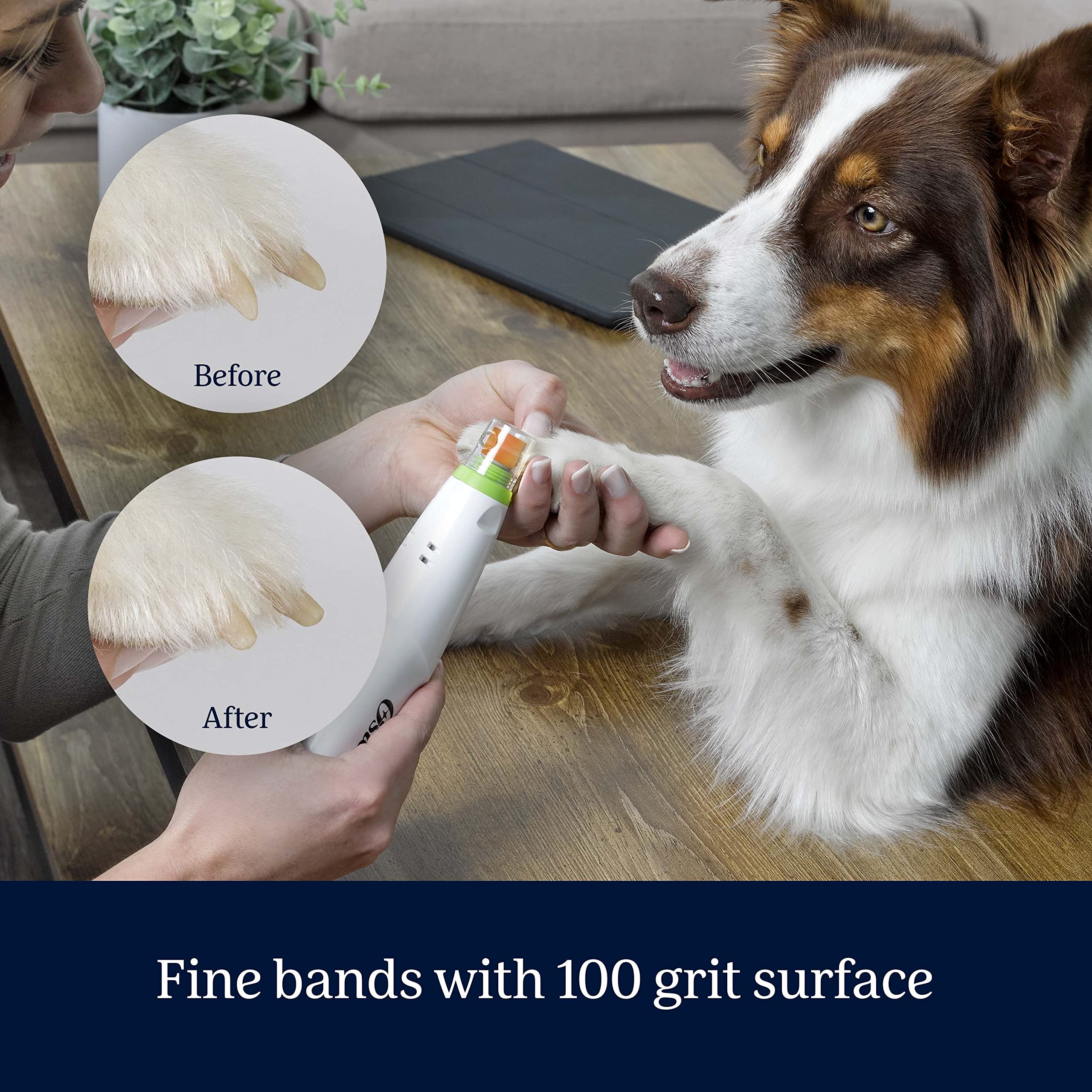 Oster Gentle Paws Pet Nail Grinder Replacement Kit