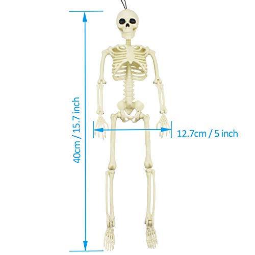 XONOR 16” Posable Halloween Skeleton- Full Body Halloween Skeleton with Movable Joints for Haunted House Props Decorations (1pc)