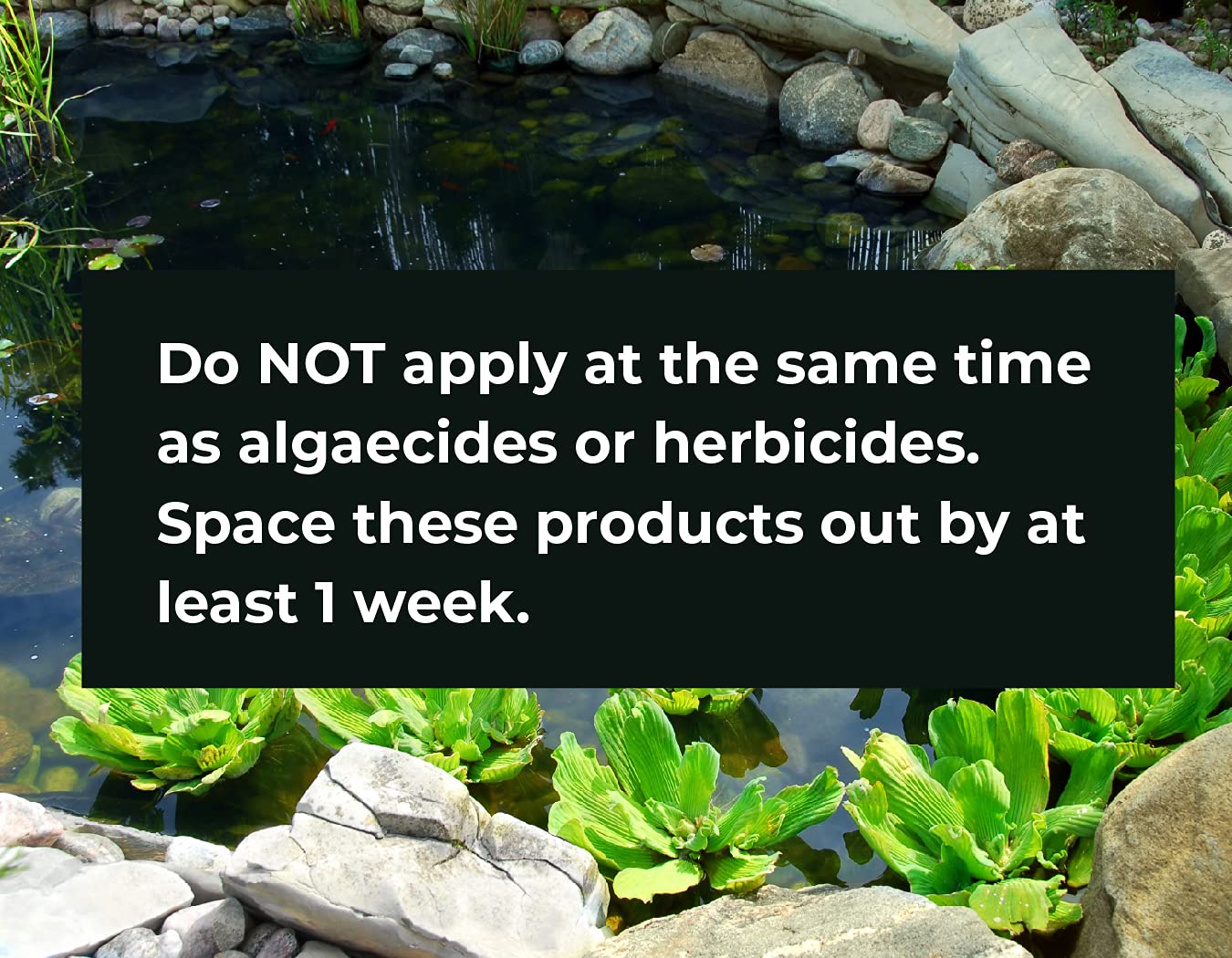 PondWorx Pond Bacteria and Water Clear- Formulated for Large Ponds, Water Features and Safe for Koi, Improves Water Quality- Gallon