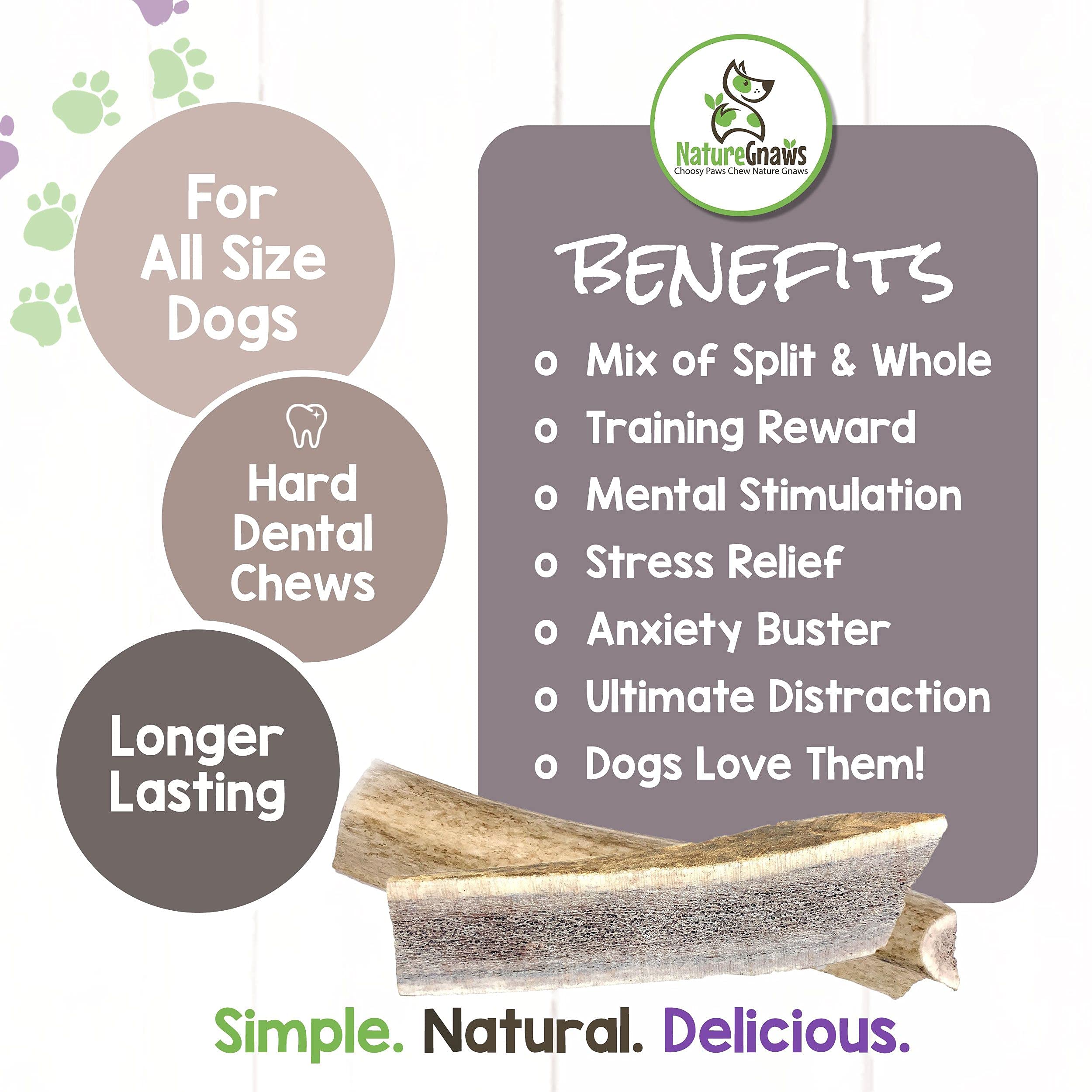 Nature Gnaws USA Elk Antlers for Dogs 5-8" (3 Count) - Mix of Split and Whole Pieces - Long Lasting for Aggressive Chewers - Natural Dog Chew Bones