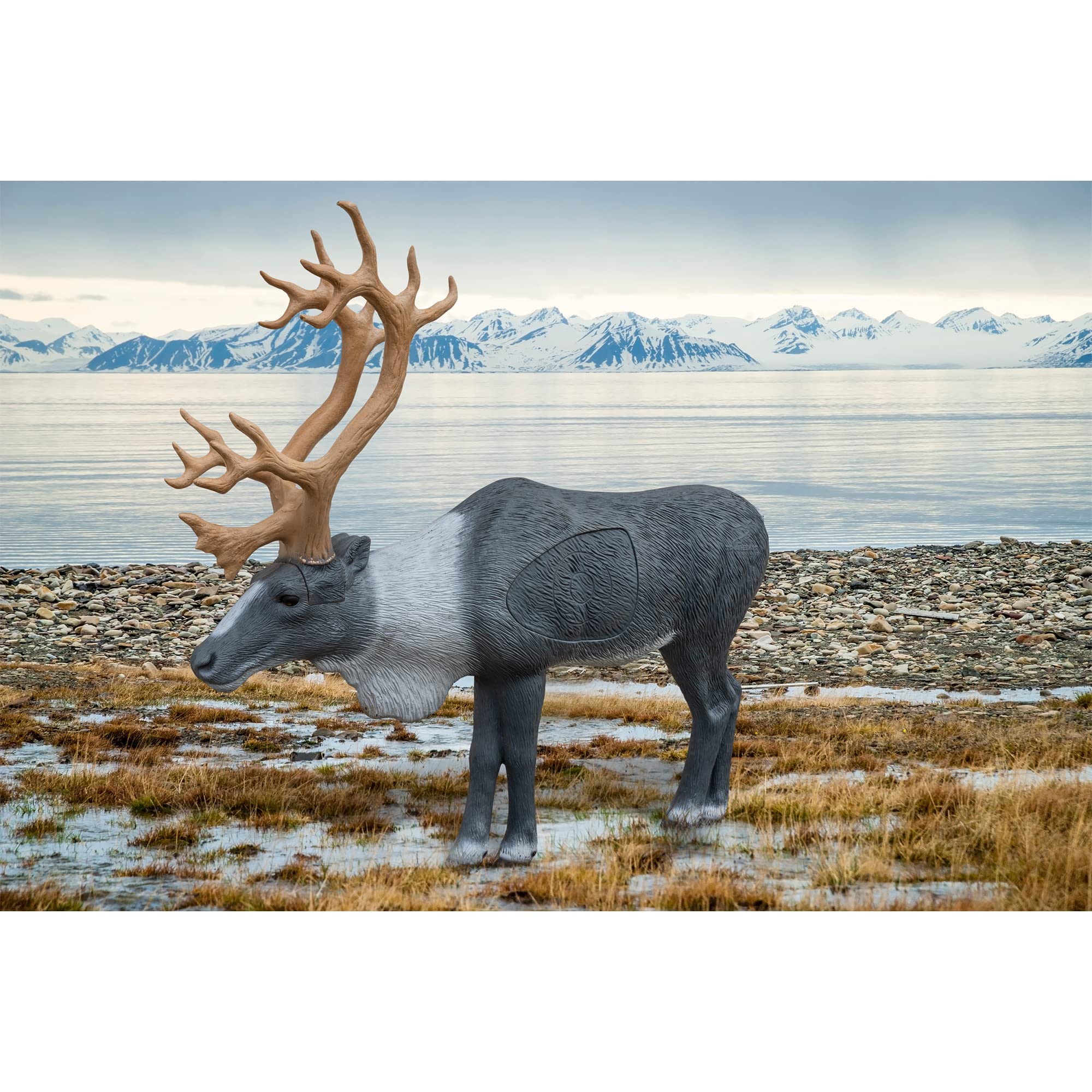 Rinehart Targets 44 Inch Realistic .3 Scale Woodland Caribou 3D Self Healing Foam Body Crossbow Figure w/Scoring Rings for Hunting & Archery Practice