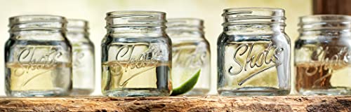 Palais Glassware Palais 'Shots' Mason Jar Shot Glasses - Mini Shot Glass Cups - Holds 2.4 Oz - Set of 6 (Clear)