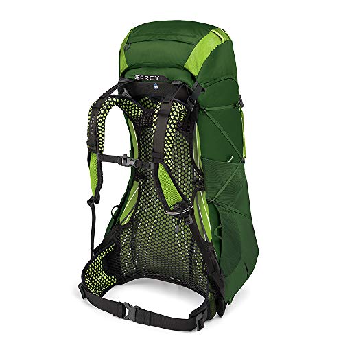 Osprey Exos 48 Men's Backpacking Backpack, Tunnel Green, Medium