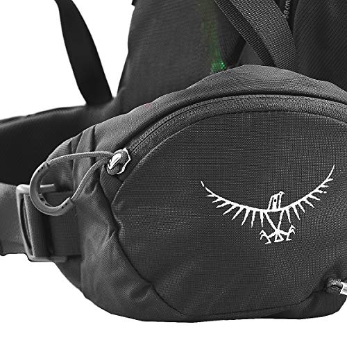 Osprey Kestrel 68L Men's Backpacking Backpack, Black, M/L