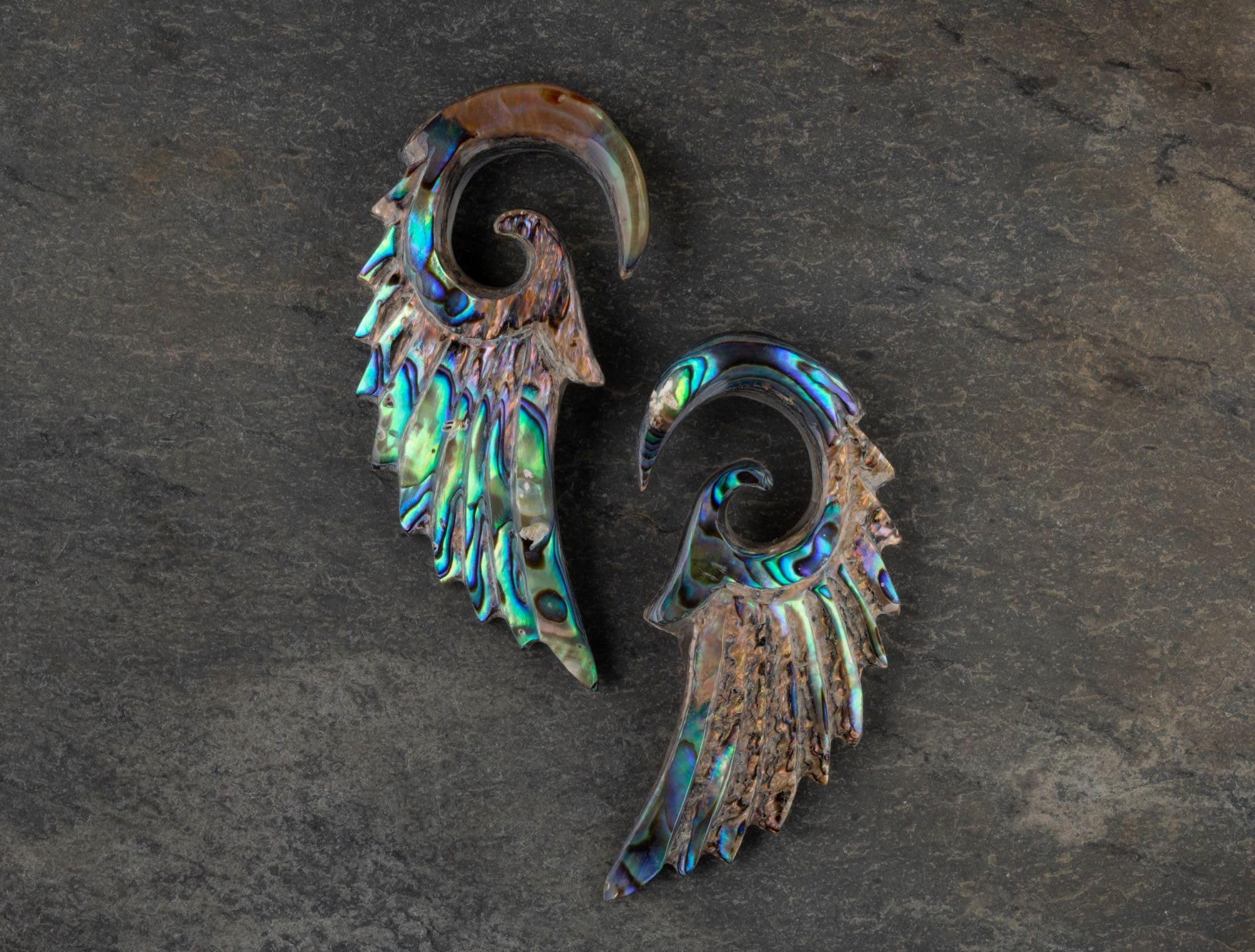 Pierced Owl Abalone Angel Wing Hanging Spiral Taper Plugs, Sold as a Pair (10mm (00GA))