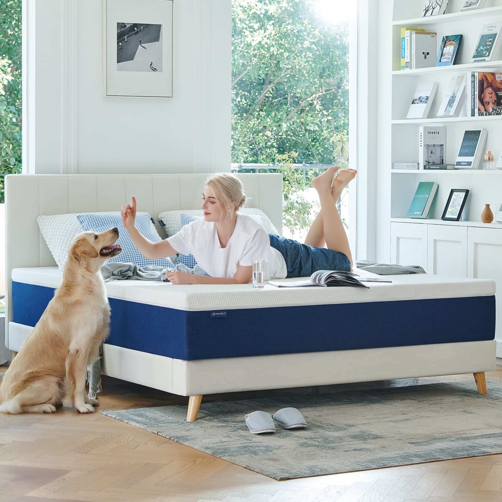 Molblly Queen Mattress, 12 inch Gel Memory Foam Mattress with CertiPUR-US Bed Mattress in a Box for Sleep Cooler & Pressure Relief, Queen Size