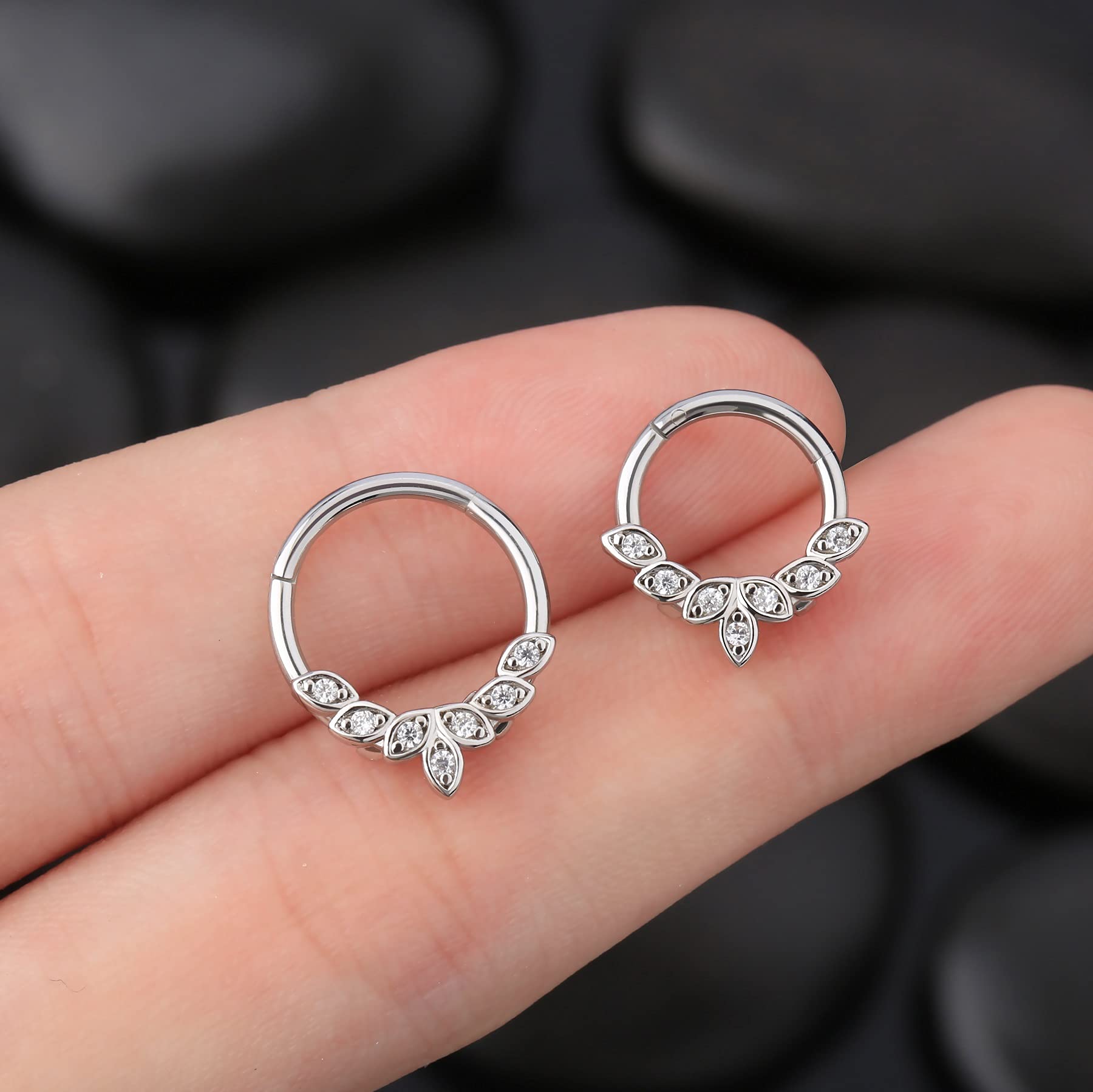 OUFER 16G 316L Stainless Steel Daith Earrings Hoop Cluster CZ Hinged Segment Clicker Daith Clicker Helix Ear Piercing