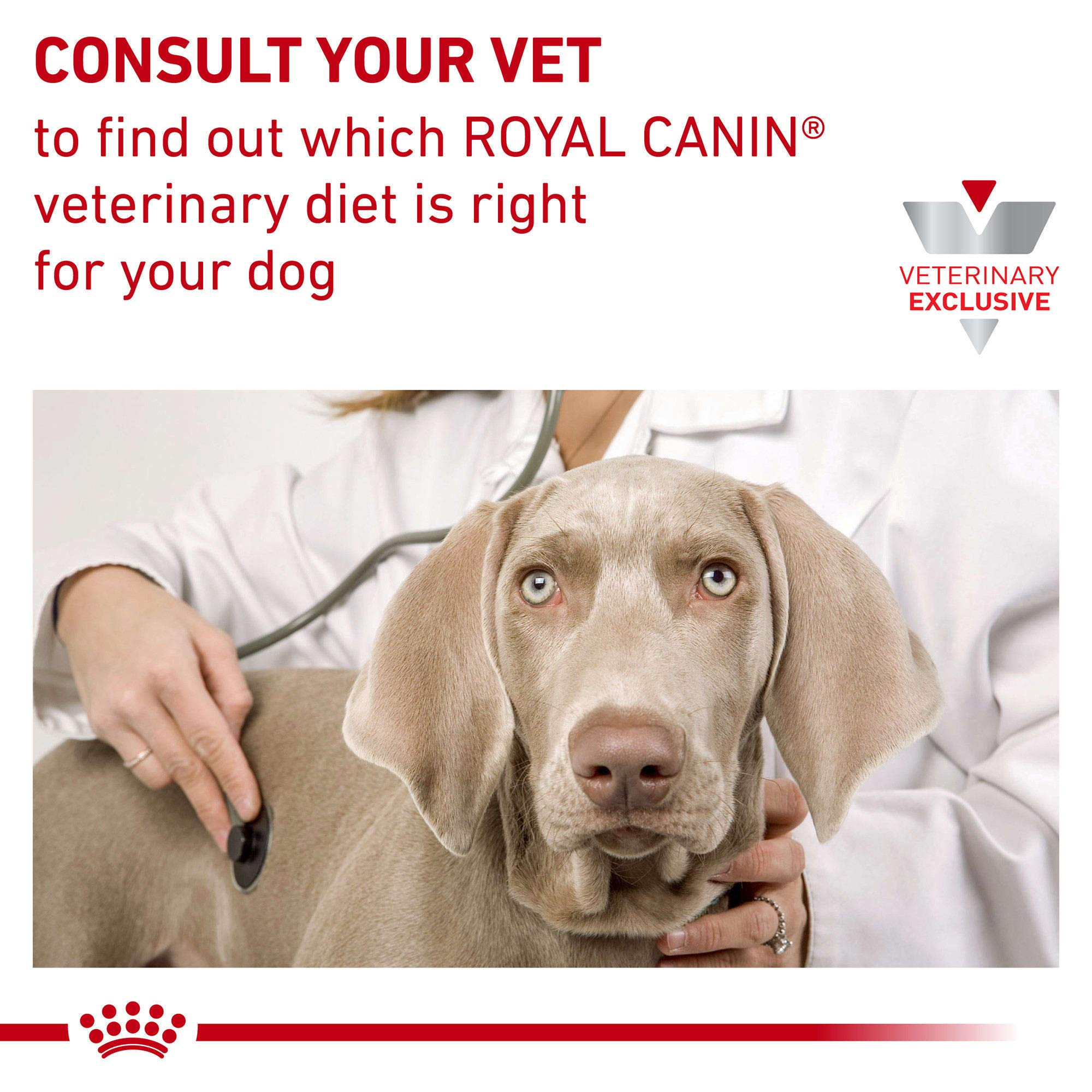 Royal Canin Canine Ultamino Dry Dog Food, 19.8 lb
