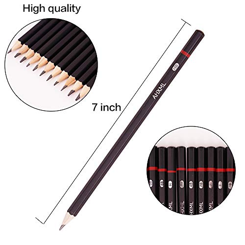 Professional Drawing Sketch Pencils Set, 12 Pieces Drawing Pencils, 8B,7B, 6B, 5B, 4B, 3B, 2B, B, HB, F, H, 2H Graphite Pencils, Ideal for Drawing Art, Sketching
