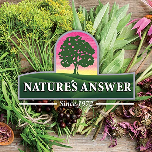 Nature's Answer Vitex Agnus-Castus Chastetree Berry 40mg 90-Capsules | Female Support Supplement | Glute-Free | Non-GMO | Vegan | Single Count