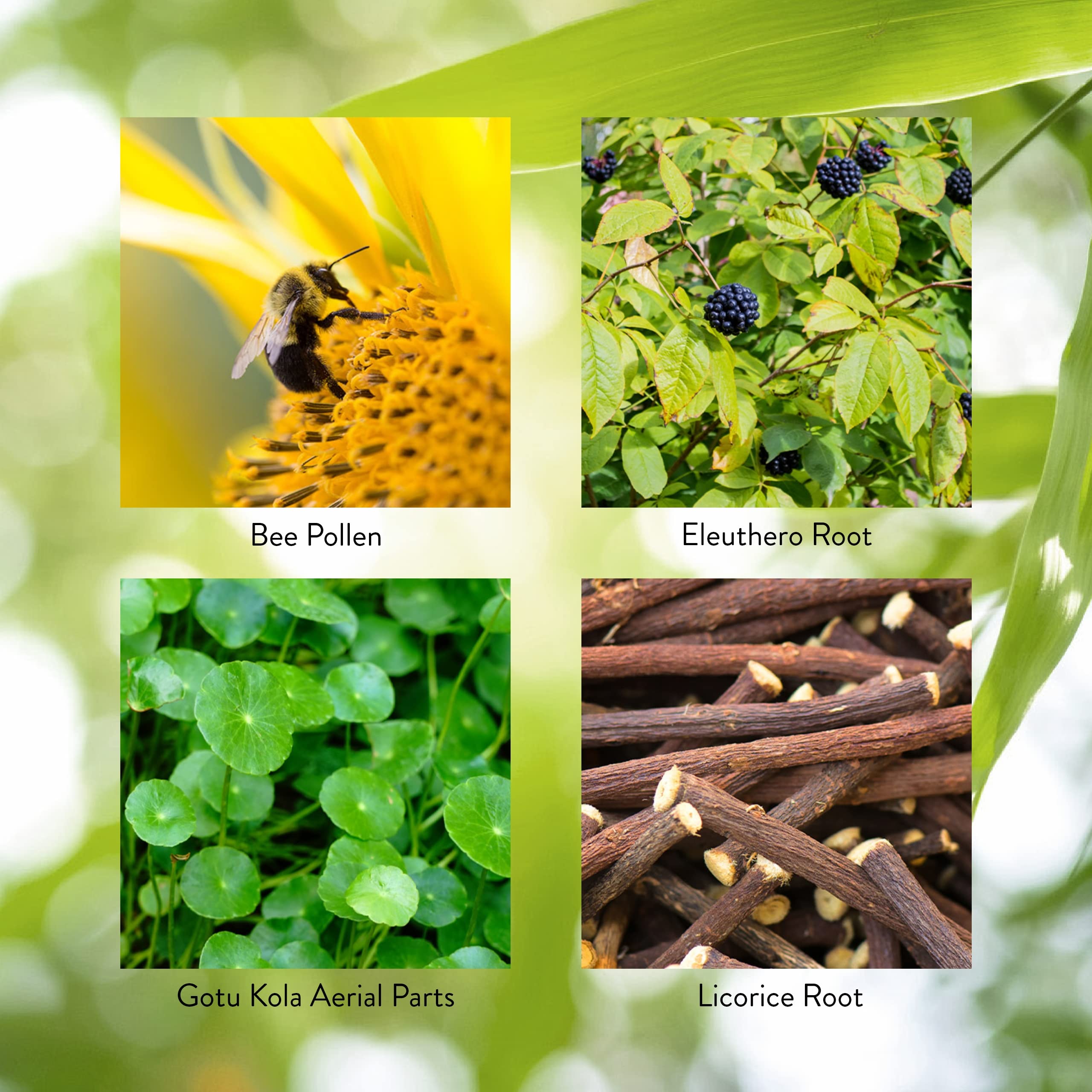 Nature's Sunshine Energ-V 100 Capsules