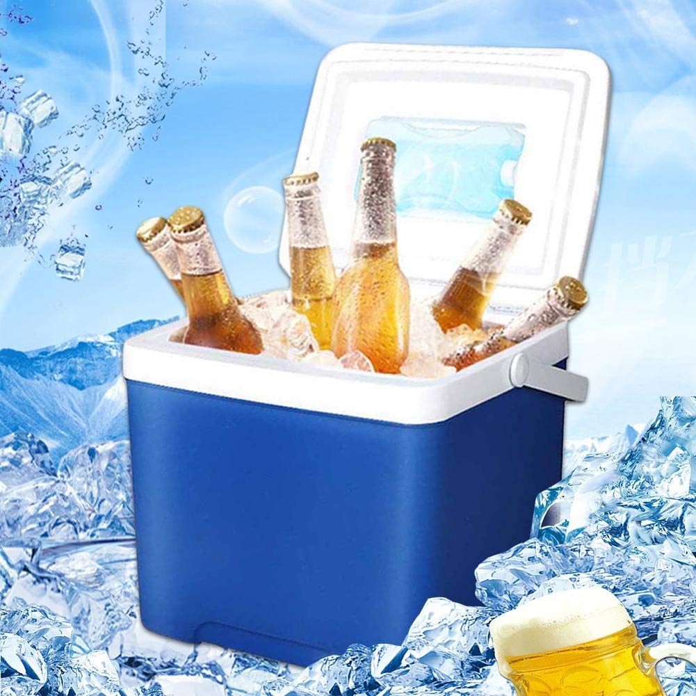 N/A 5L Car Portable Refrigerator Fridge Cooler& Warmer Icebox for Car Home Mini Refrigerator for Food Insulated with Handle