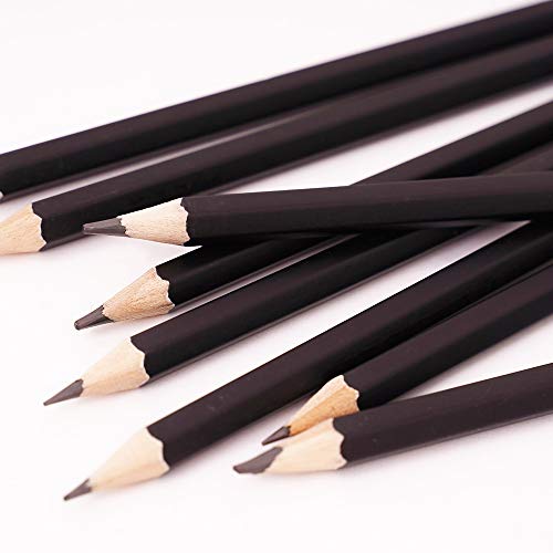Professional Drawing Sketch Pencils Set, 12 Pieces Drawing Pencils, 8B,7B, 6B, 5B, 4B, 3B, 2B, B, HB, F, H, 2H Graphite Pencils, Ideal for Drawing Art, Sketching