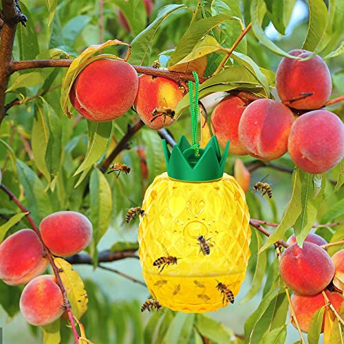 Wasp Trap 2 Pack, Trap Yellow Jacket, Hornets Naturally