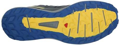 Salomon Sense Ride 4 Gore-TEX Invisible FIT Trail Running Shoes for Men, Stormy Weather/Quarry/Cherry Tomato, 8.5