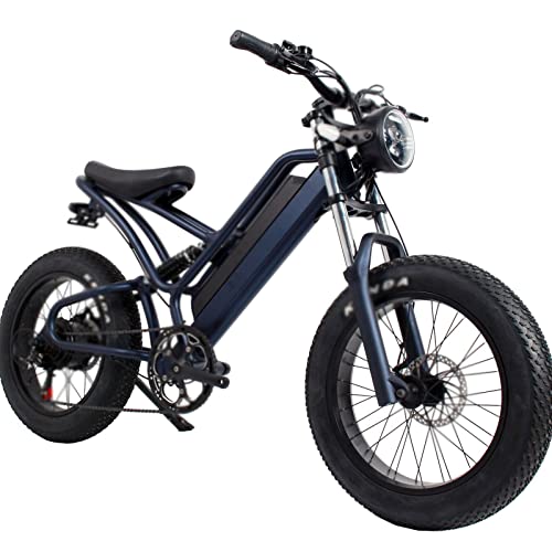 Wonzoneddzxc Electric Bicycles 20 Inch Electric Bicycle Variable Speed Off-Road Booster with Removable Electric Mountain Bike