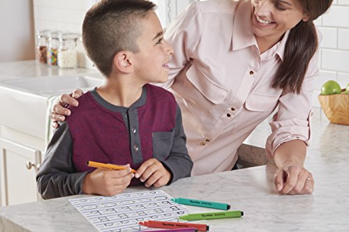 Paper Mate Handwriting Triangular Pens, Washable Black Ink, Fun Barrel Colors, 5 Count (2017533)