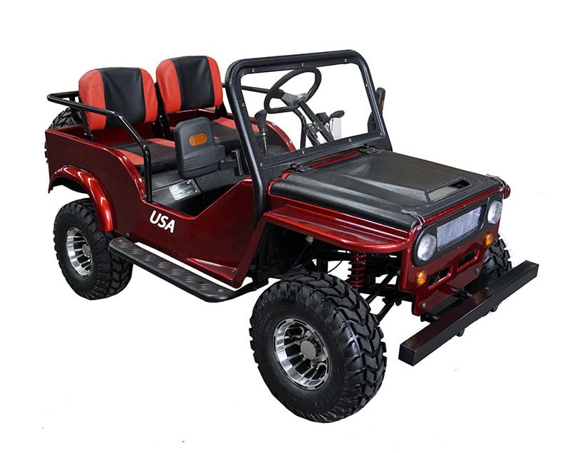 VITACCI GR2-125cc Go Kart with 3-Speed Semi-Automatic with Reverse and BIG 18" Aluminium Rim Wheels!