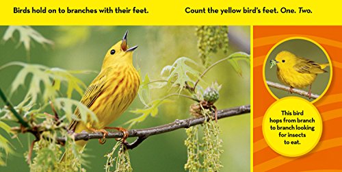 National Geographic Kids Look and Learn: Birds (Look & Learn)