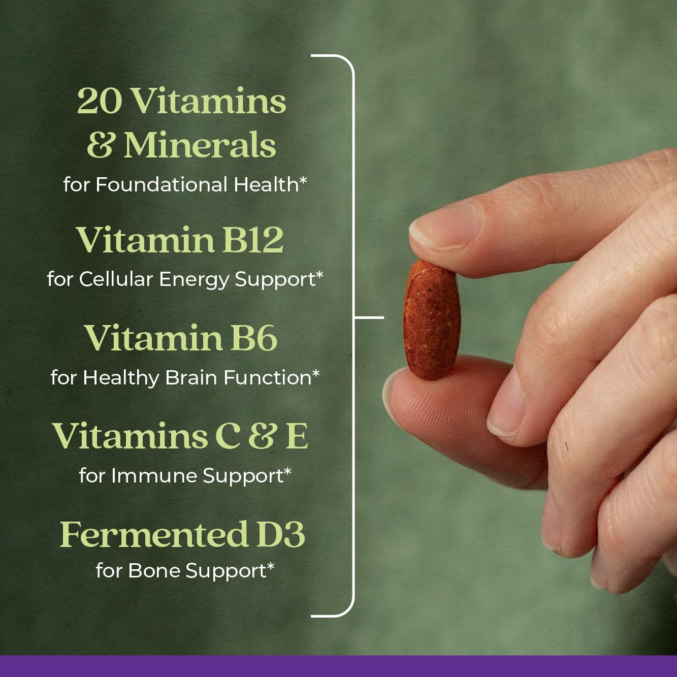 New Chapter Women's Multivitamin 50 plus for Cellular Energy, Heart & Immune Support with 20+ Nutrients + Astaxanthin - Every Woman's One Daily 55+, Gentle on The Stomach, 72 Count