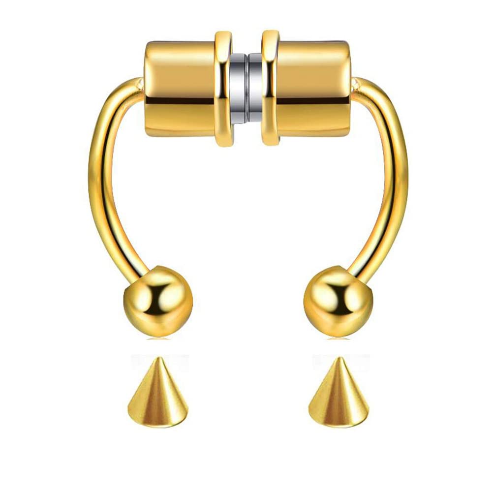 Shuiniba Magnetic Septum Nose Ring Horseshoe Fake Nose Ring Hoop Reusable Nose Ring Hoop Non-Piercing 316L Stainless Steel - 5 Pack