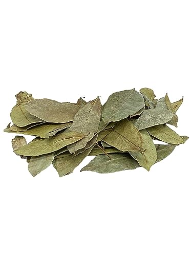 Yerbero - Whole Dried Graviola Soursop Leaves (4 oz - 330+ Leaves Per Bag) Hoja De Guanabana, 100% All Natural Delicious Fresh Tea | From Mexico | Premium Wildcrafted Quality.