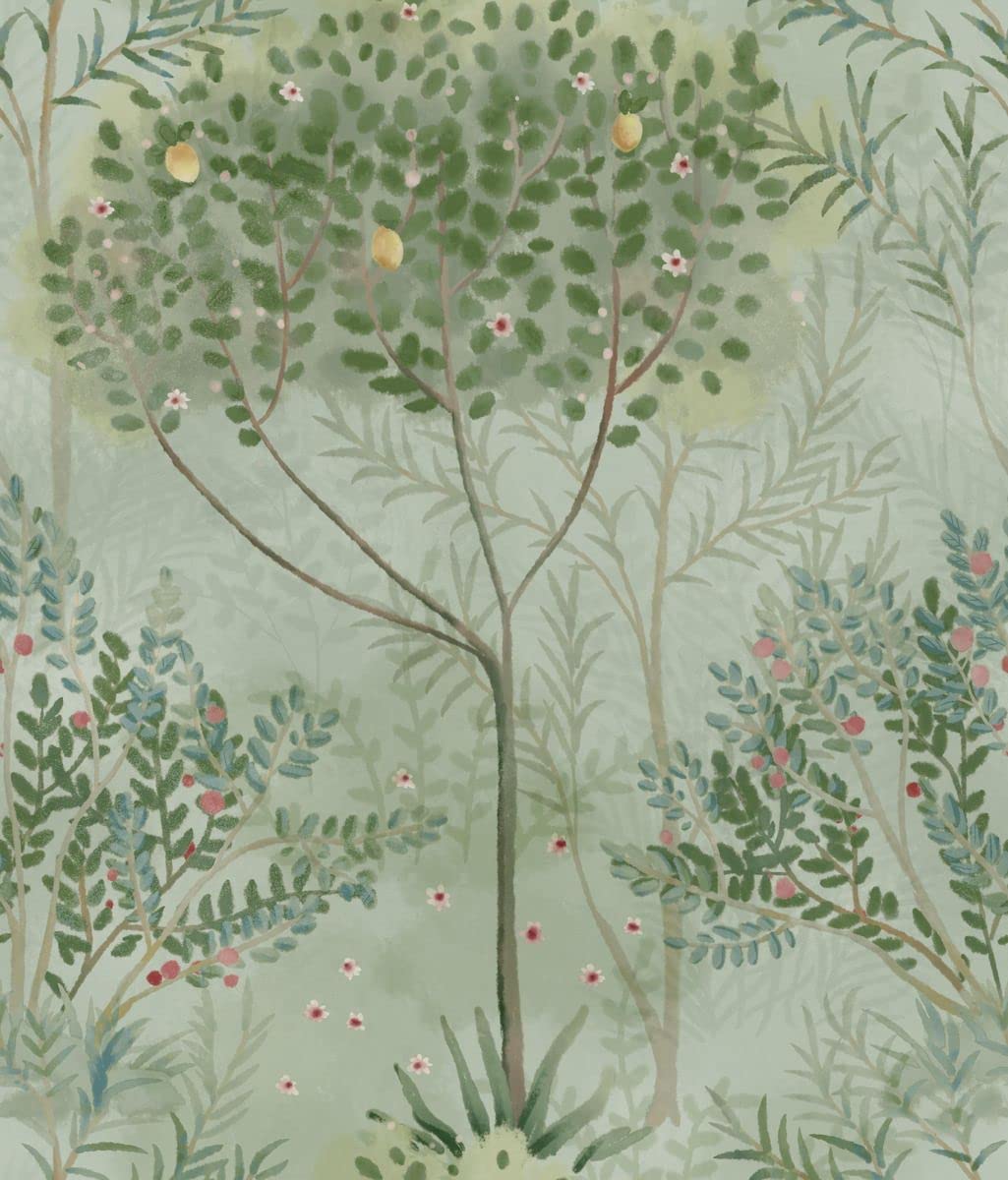 MN1823 Orchard Wallpaper Green from Mediterranean by York Wallcoverings