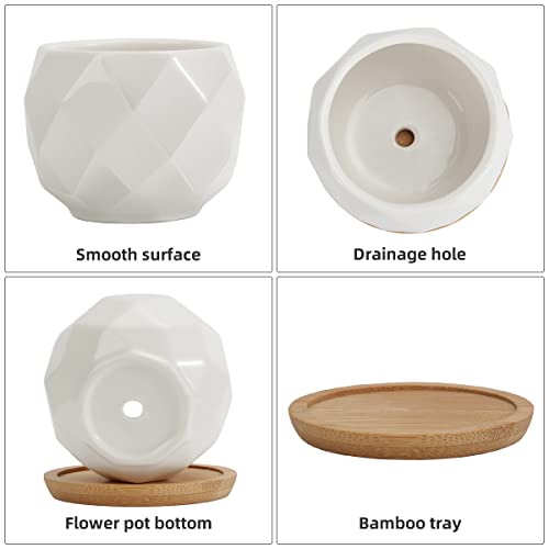ZOUTOG Succulent Plant Pot 12 Pack, 2.5 inch Square Pattern Ceramic Planters with Bamboo Tray, Small Succulent Pots for Indoor Plants, White Office Desk Decor (Seeds& Plants Not Included)