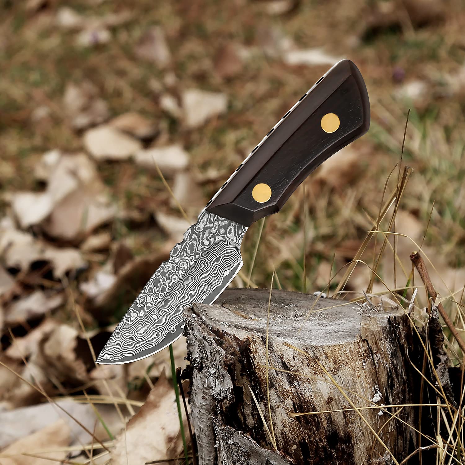 XITUO Damascus Bushcraft Knife, Hunting Knife - Handmade Survival Knife, forged Fixed Blade Knife, 5.5'β EDC Camping Knife for Men | Fixed Blade with Ebony Wood Handle Leather Sheath
