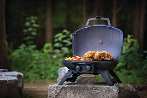 Napoleon TravelQ 285 Portable Gas BBQ Grill, Propane, Blue Lid - TQ285-BL-1 β Two Burners, Cast Iron Cooking Grids, Ideal for Camping & Tailgating