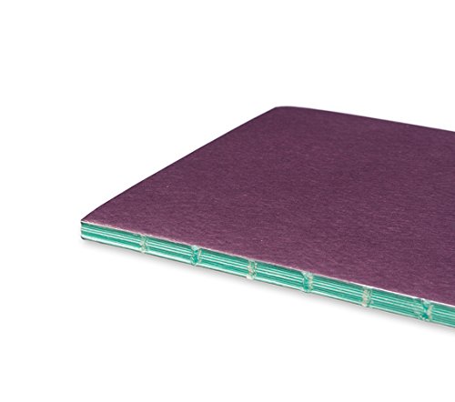 Moleskine Chapters Journal, Slim Medium, Dotted, Plum Purple, Soft Cover (3.75 x 7)