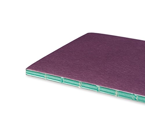 Moleskine Chapters Journal, Slim Large, Ruled, Plum Purple, Soft Cover (4.5 x 8.25)