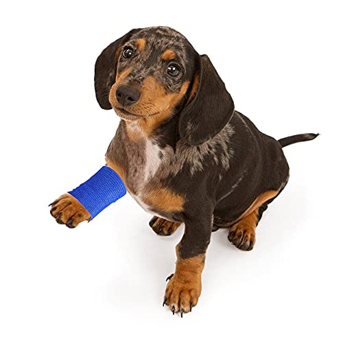 Self-Adhesive Bandage Multicolor Cohesive Bandage Roll Elastic Self Adherent Wrap Ideal for Sports Injuries, Ankle, Knee and Wrist Sprains (8 Rolls Per Pack) (2.5cm+5cm+7.5cm+10cm)