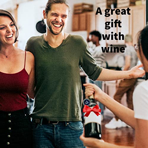 Wine Bottle Stopper β Unique gift for Dinner Host, Wine Lover, or Housewarming β a versatile wine accessory, use for Wine or Champagne β Handmade of Murano Glass and Portuguese Cork keeps wine fresher