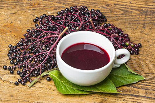 Tea,Og1,Elderberry